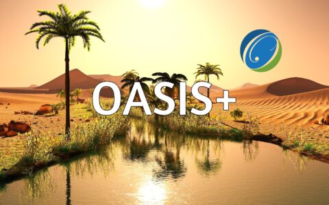 Win Big with OASIS+: Get Expert Help From OST Global Solutions | OST ...