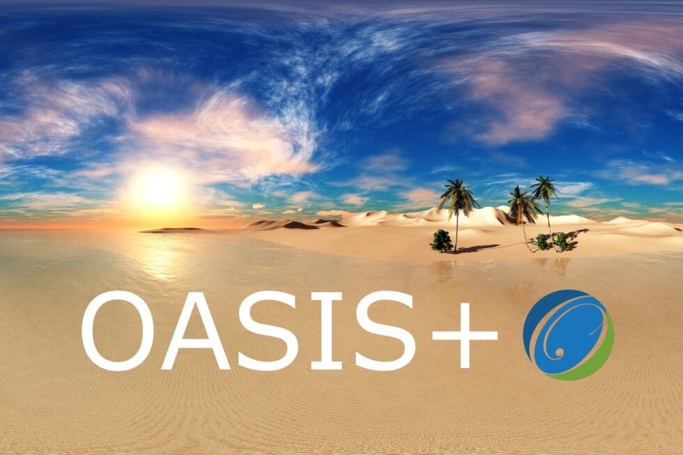 Navigating OASIS+: OST is Your Guide to a Winning Proposal | OST Global ...