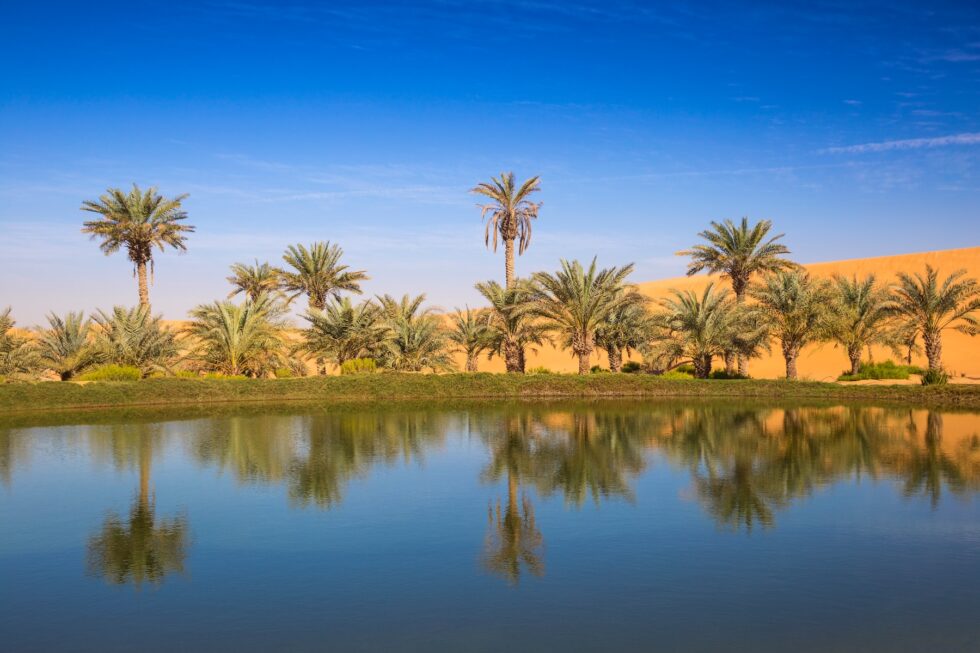 GSA’s OASIS+ Is Expanding—Are You Ready? | OST Global Solutions, Inc.