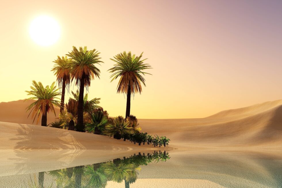 Inside the Next OASIS+ On-Ramp: What’s Changing & How to Prepare | OST ...