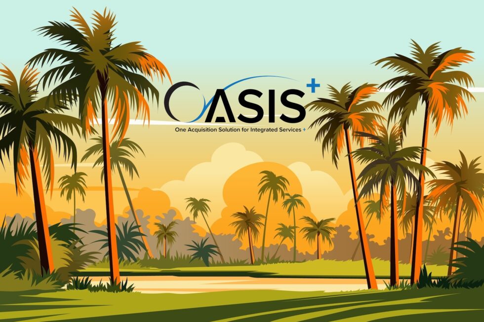 OASIS+ Has Continuous On-Ramping: Why Small Businesses Should Still ...